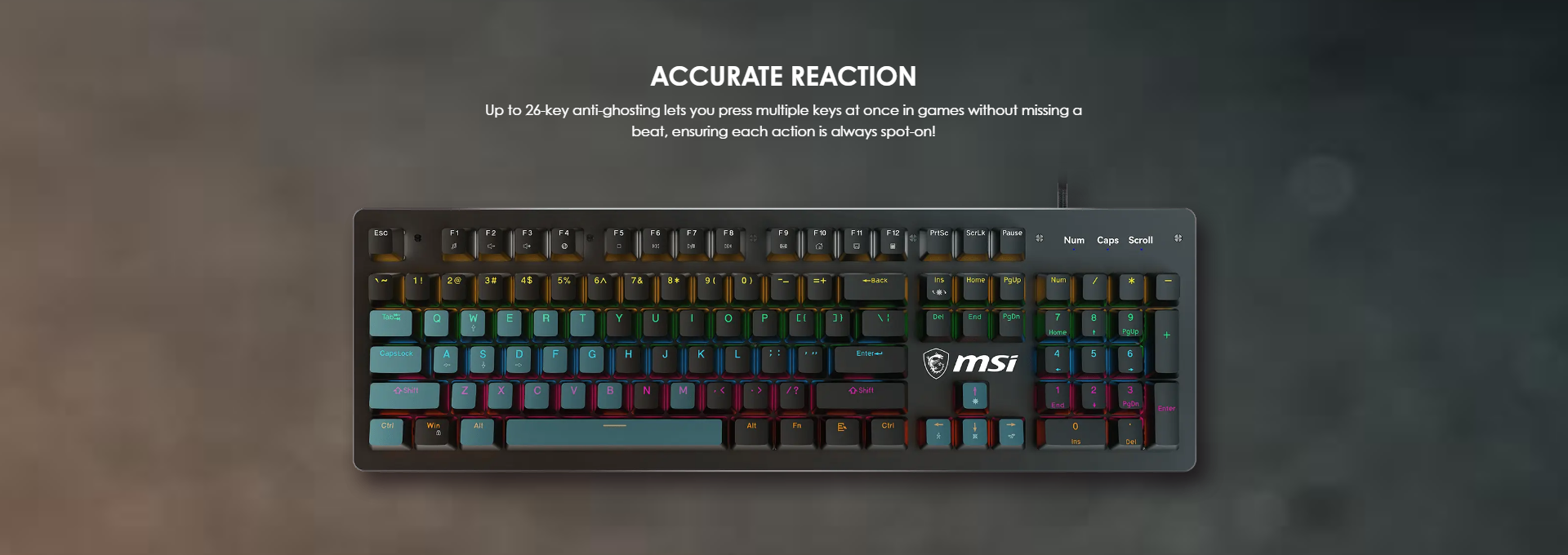 MSI Forge GK300 RGB Mechanical Gaming Keyboard - Blue Switch | PLE ...
