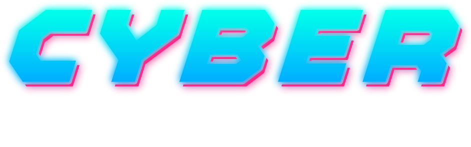 Cyber Weekend 2024 | PLE Computers