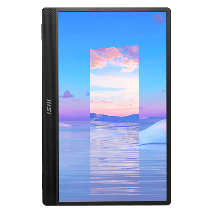 MSI PRO MP161 - 15.6" 1080p 60Hz IPS USB Type-C Portable Monitor | PLE ...